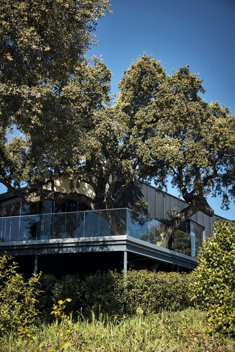 El Jaral de la Mira: presente y futuro de Coque, el proyecto estrella ...