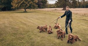 Jenson Button es el protagonista de la nueva campaña de Hackett London